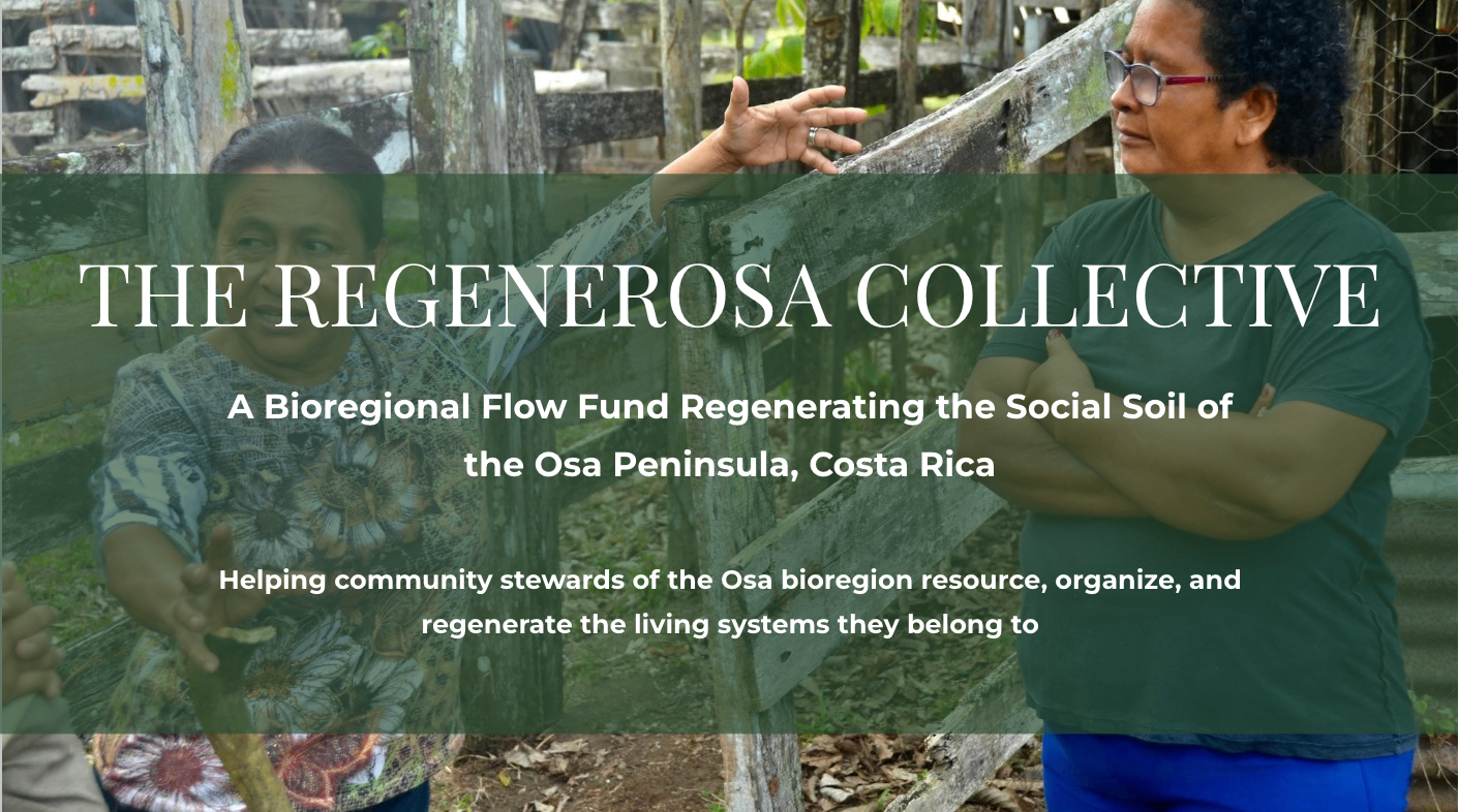 Creating the infodeck of the bioregional financing facility.